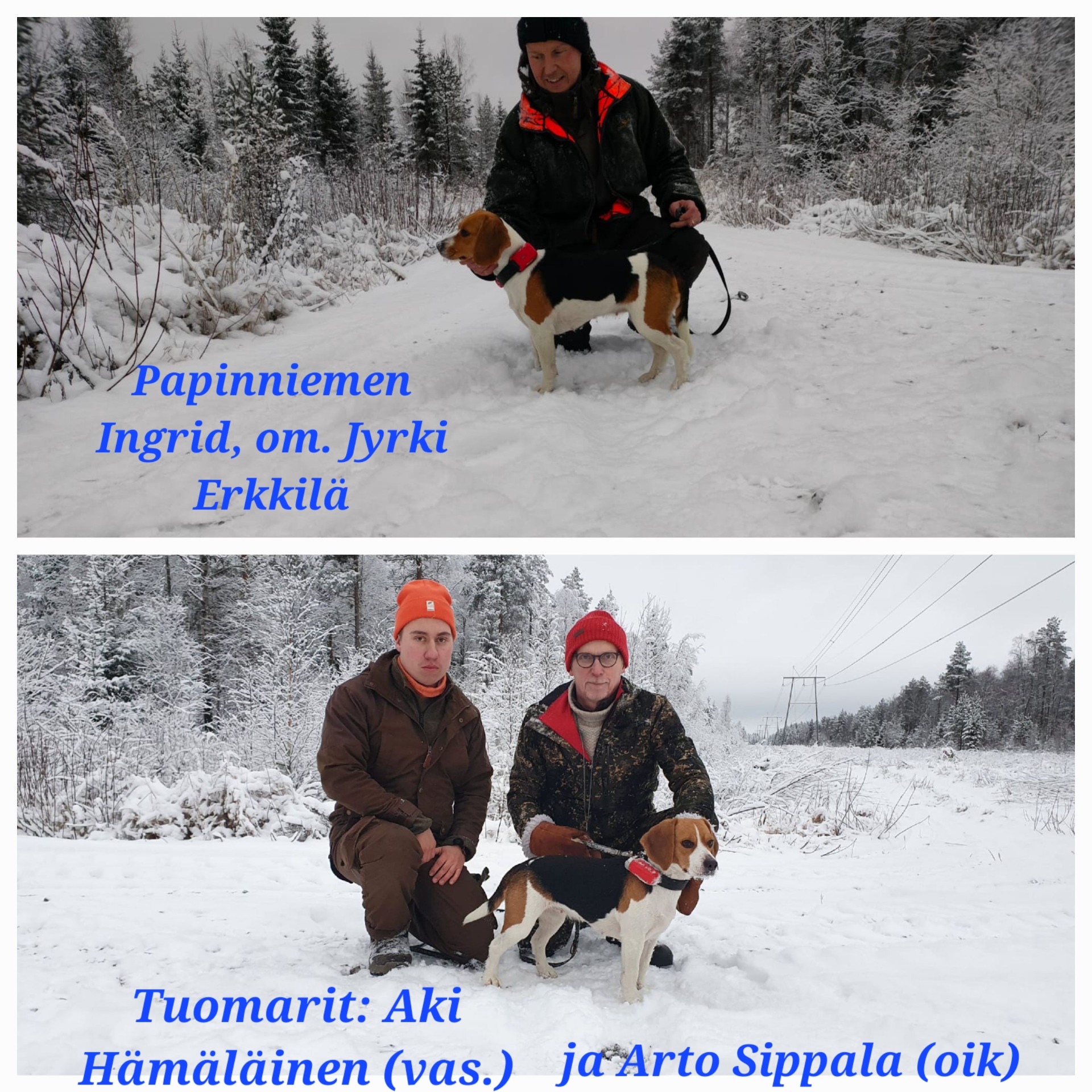 Tuloksia :: ppbeagle